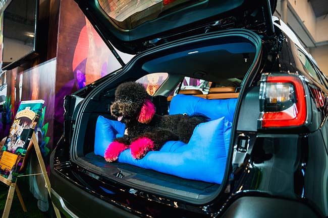 Subaru Hadir di Indonesia International Pet Expo 2024 - MediaProfesi.id